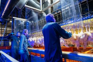 About Us – Keystone Foods LLC