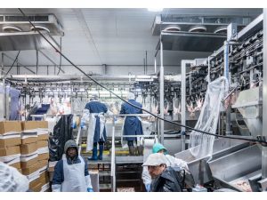 About Us – Keystone Foods LLC